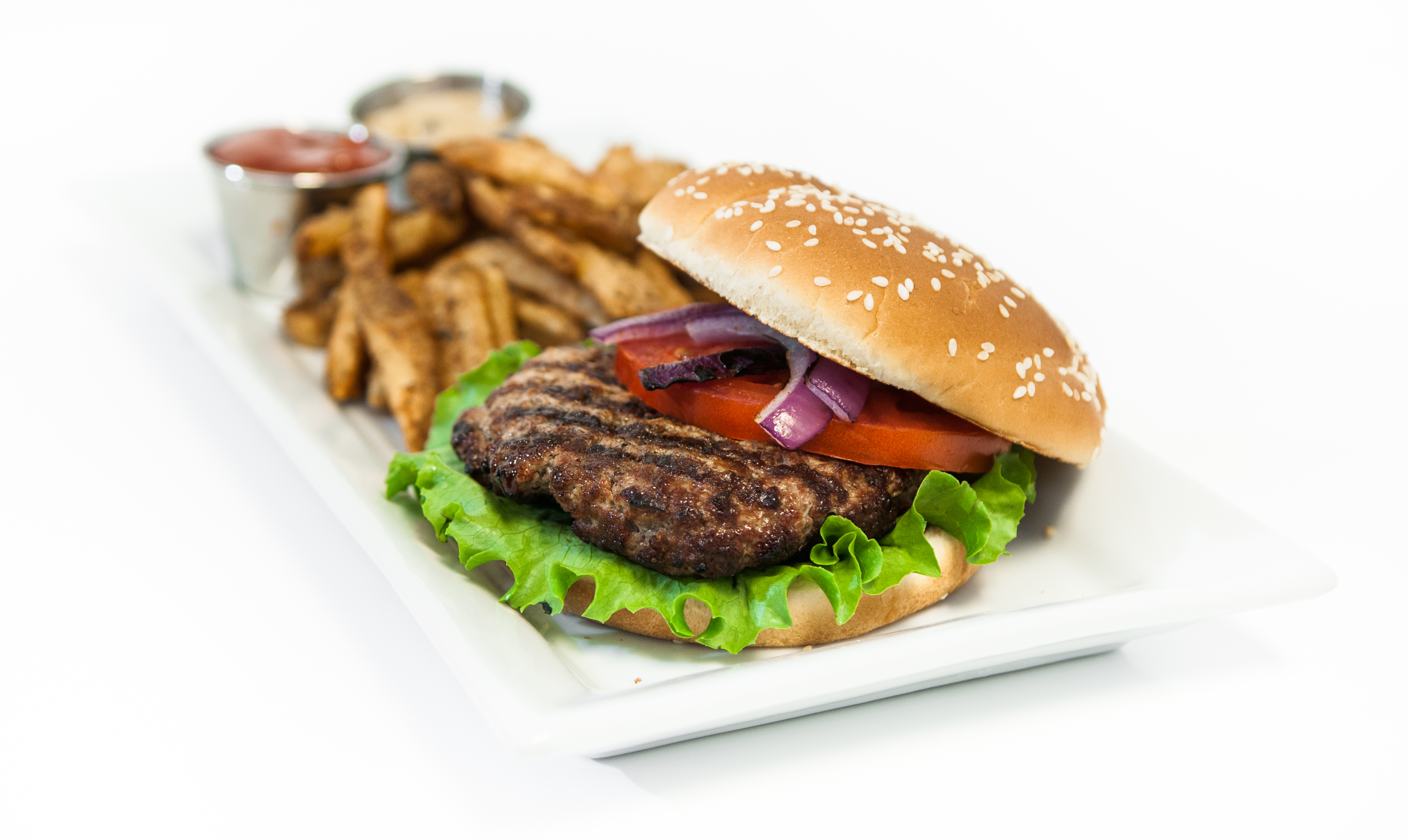 gourmet-burger-plated-3 - Nieco, LLC